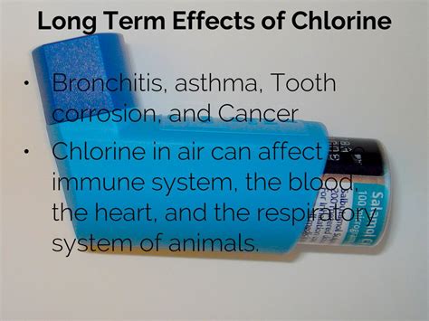 Effects Of Chlorine And Salt Water Pools By Mjohnson