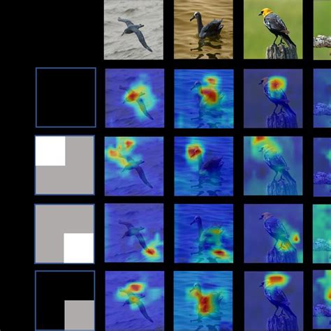 Validation Accuracy On The Cifar100 Dataset Using The Cnn