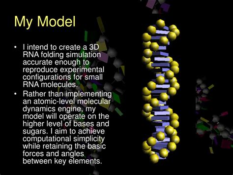 Ppt Rna Folding Simulation Powerpoint Presentation Free Download