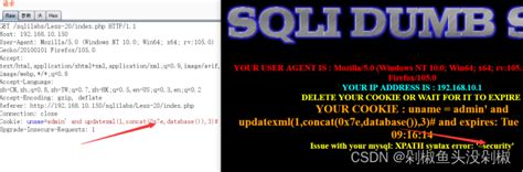 Sql注入基础原理与案例（详细总结）sql注入案例 Csdn博客