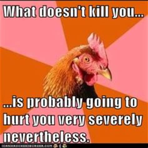 78 Anti Joke Chicken Ideas Anti Jokes Chicken Jokes Bones Funny