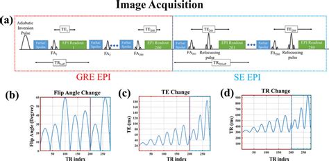 Schematic View Of The Sequence A A Gradient Echo Ge Echo Planar