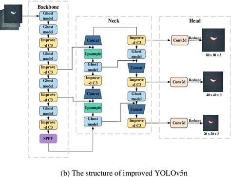Figure 2 From Deep Sea Biological Detection Method Based On Improved Yolov5n Semantic Scholar