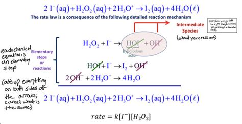 Lecture Kinetics Flashcards Quizlet