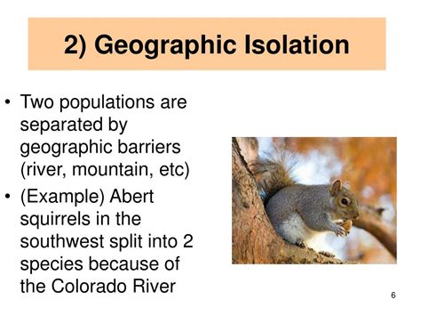 Define Species Geographic Isolation At Abigail Schardt Blog
