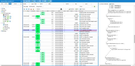 Ue Capability Enquiry