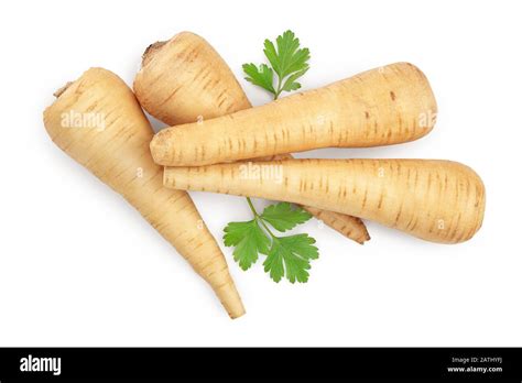Parsnip Root And Slices With Parsley Isolated On White Background With Clipping Path Top View