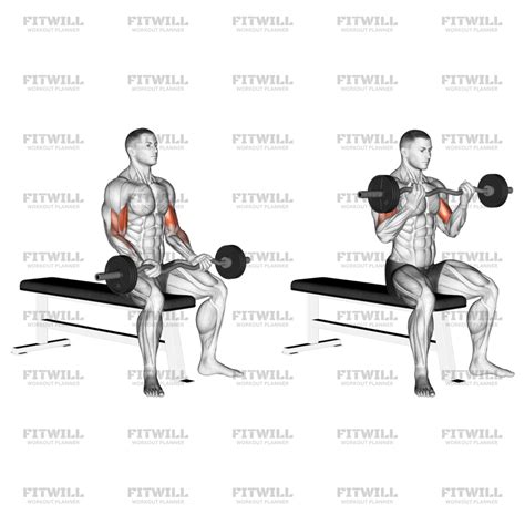 Ez Barbell Seated Curls Exercise Guide Video Techniques Benefits How To Muscles Worked