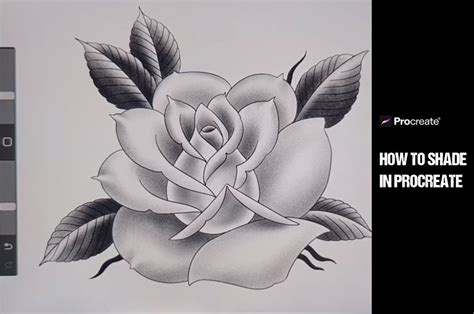Tutoriales de Procreate más de 30 tutoriales nuevos para mejorar tus habilidades de ilustración