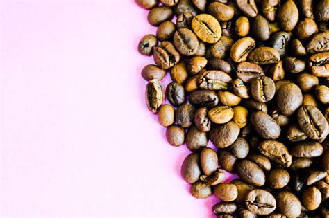 아름 다운 질감의 갓 선택한 맛 있는 풍부한 갈색 자연 향기로운 커피 나무 곡물 Arabica 커피 콩 Robusta 구이 평평 하다 고 분홍색 자주색 배경에 공간 복사 0