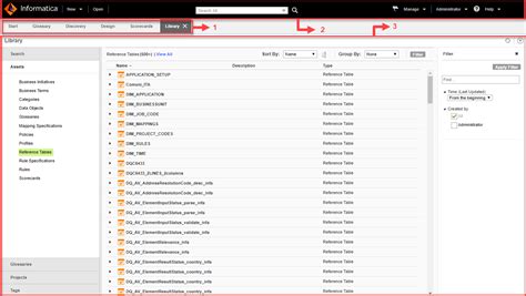 Informatica Analyst User Interface