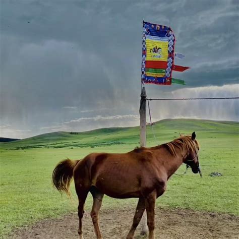 Байгалийн сайханд хүний сайнтай ️ By ••Морьтон•• Facebook