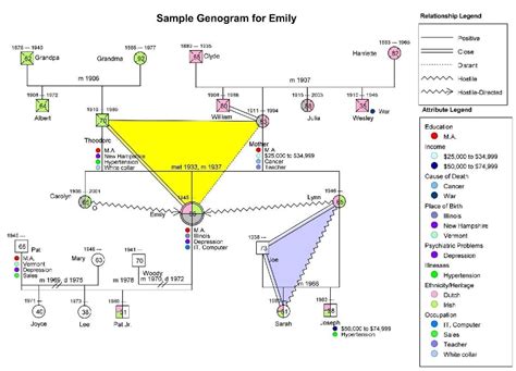 Genogram Examples Genogram Analytics