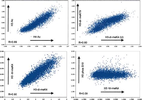 The Histone Modification Pattern Of Active Genes Revealed Through Genome Wide Chromatin Analysis