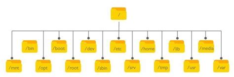 Directory In Linux Define Linux Directory Its Commands