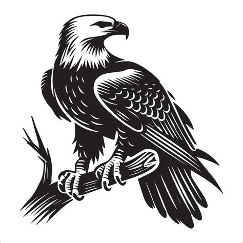 Bald Eagle Silhouette Eagle Logo A Bald Eagle Sitting On A Branch