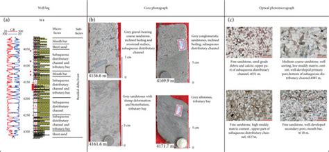 typical logging curves a core photos b and optical download