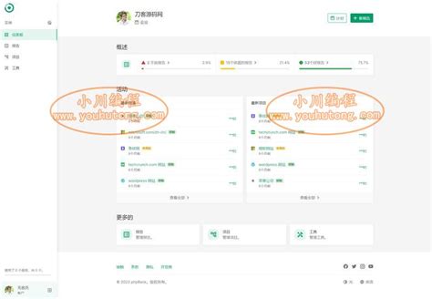 基于php开发的网站seo报告和代码工具平台系统源码 小川编程