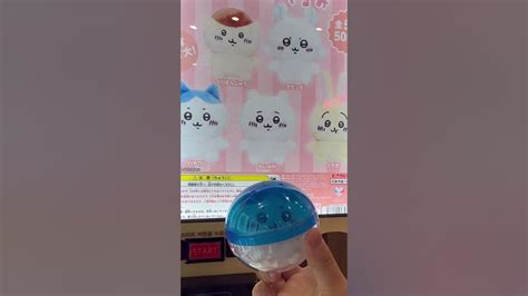 먼가 작고 귀여운 친구들 가챠뽑기 Shorts 치이카와 하치와레 우사기 먼작귀 Youtube