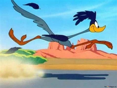 Road Runner Cartoon Character Bird Running Hd Wallpaper Download
