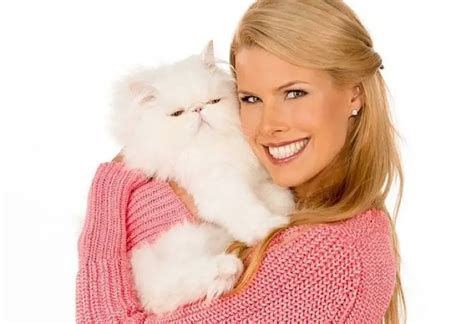 Beth Sterns Book Yoda The Cat The Catnip Times