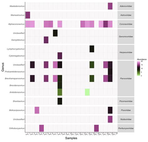 Virome Presence And Abundance The Abundance Within Samples Is Download Scientific Diagram