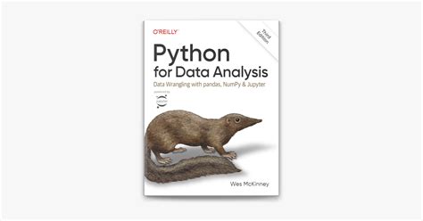 ‎python For Data Analysis By Wes Mckinney On Apple Books