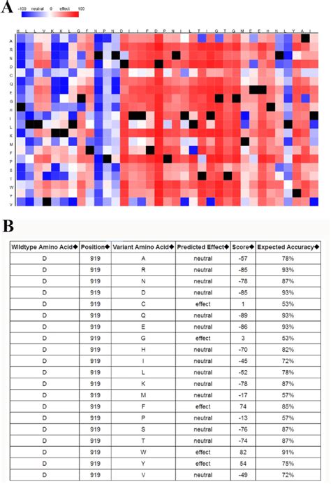 Evaluation Of Methionine Synthase Rs1805087 A G Variant By Snap Tool Download Scientific