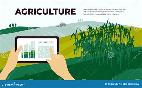 Agriculture And Analysis Data By Tablet Stock Vector Illustration Of Graph Farming 163935179