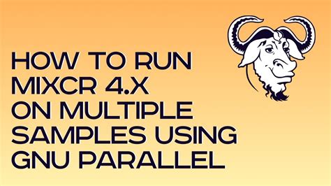 How To Run Mixcr 4x On Multiple Patient Samples Using Gnu Parallel Youtube