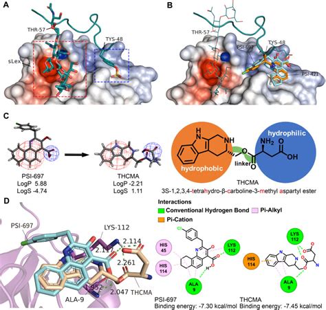 Nanoparticles Of A New Small Molecule P Selectin Inhibitor Attenuate Thrombosis Inflammation