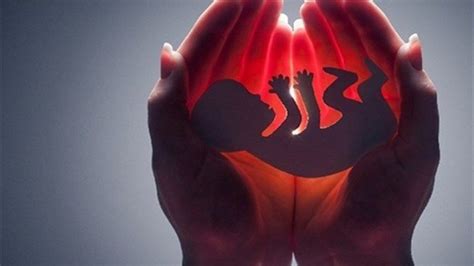 سقط جنین قبل از ۴ماهگی هم قتل نفس محسوب می‌شود