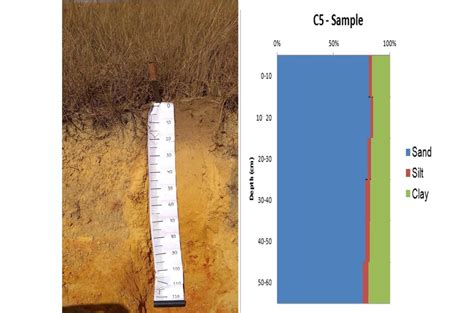 Soil Profile And Texture Analysis Download Scientific Diagram