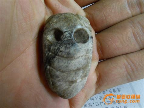 高古玉蝉 古代玉蝉 玉蝉 大山谷图库