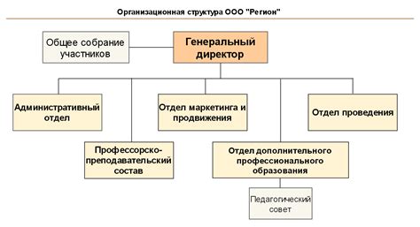 Структура и органы управления организацией ООО «Регион