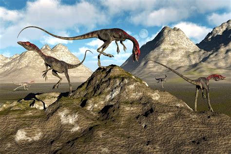 Interesting Facts About Compsognathus