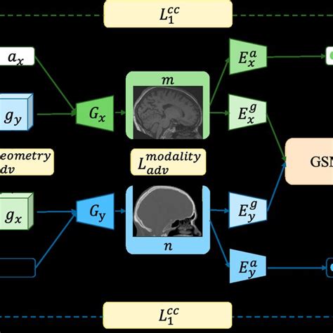 Visualization Of Mri To Ct Synthesis Results By Different Methods