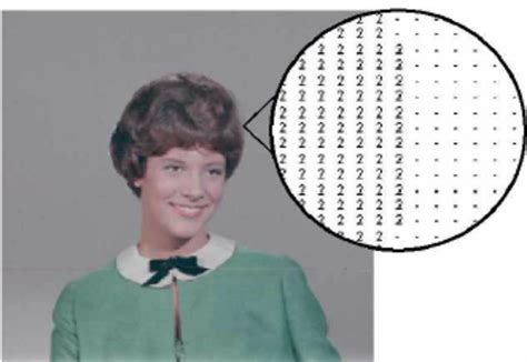 Neighbors Scan Algorithm Download Scientific Diagram