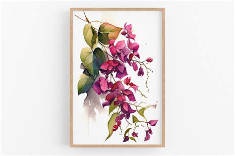 Bougainvillea Flower Print Wall Art No92 Bougainvillea Art Print