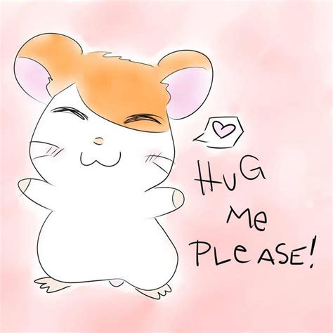 Pin By Momo Peachtree On ~ Hamtaro ~ Hamtaro Hug Cute Hamsters