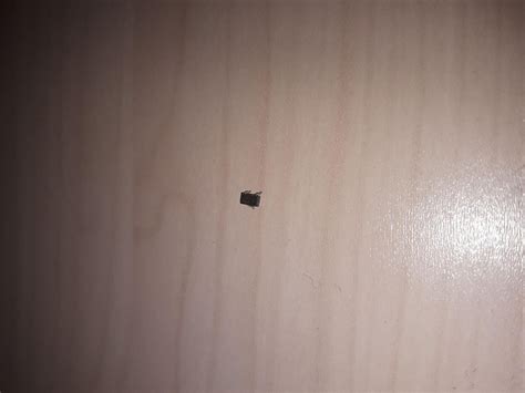 Laptop Hardware Problem Tech Support Forum