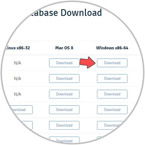 Cómo Instalar Postgresql En Windows 11 ️ Solvetic
