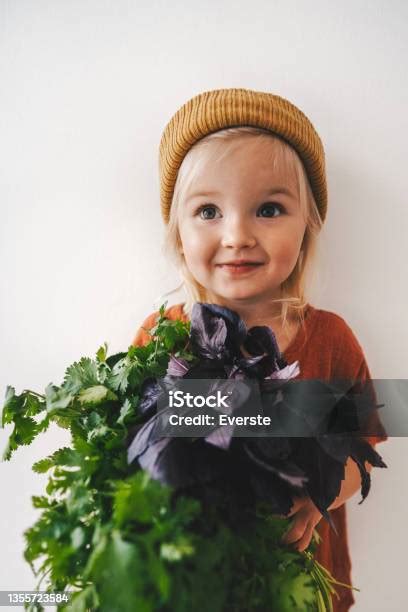 고수와 바질 무리 비건 식품 건강 한 먹는 유기농 수확 원예 식물 기반 다이어트 영양 지속 가능한 라이프 스타일 가족에 대한 스톡 사진 및 기타 이미지 Istock