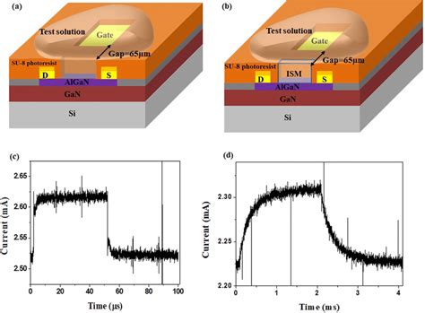 High Field Gated Algangan Hemt Sensor Schematic Representation Of
