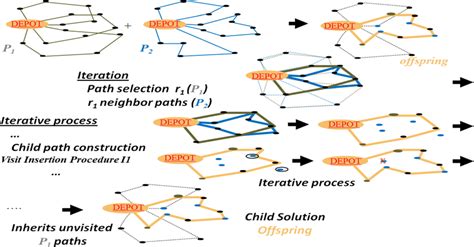 insertion based ib x crossover creates an offspring by combining download scientific diagram