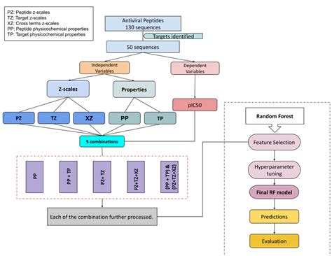 Pcm Model Flowchart Illustration Of The Descriptors And Multiple