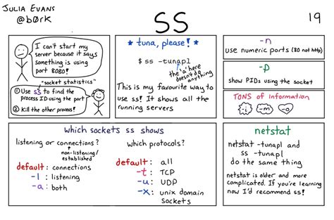 linux networking tools ss nmap dig netcat ping tcpdump socat top ethtool a thread 👇