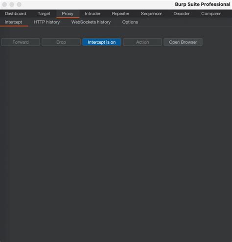 Trustedsec Intro To Web App Security Testing Burp Suite Tips