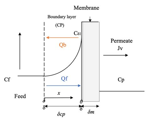 Concentration Polarization Scheme In Ro Source Own Elaboration Based