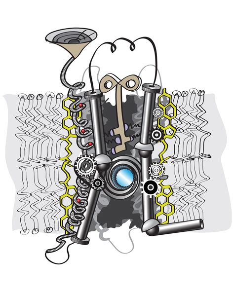Scientific Illustration And Graphics Services Usc Bridge Institute